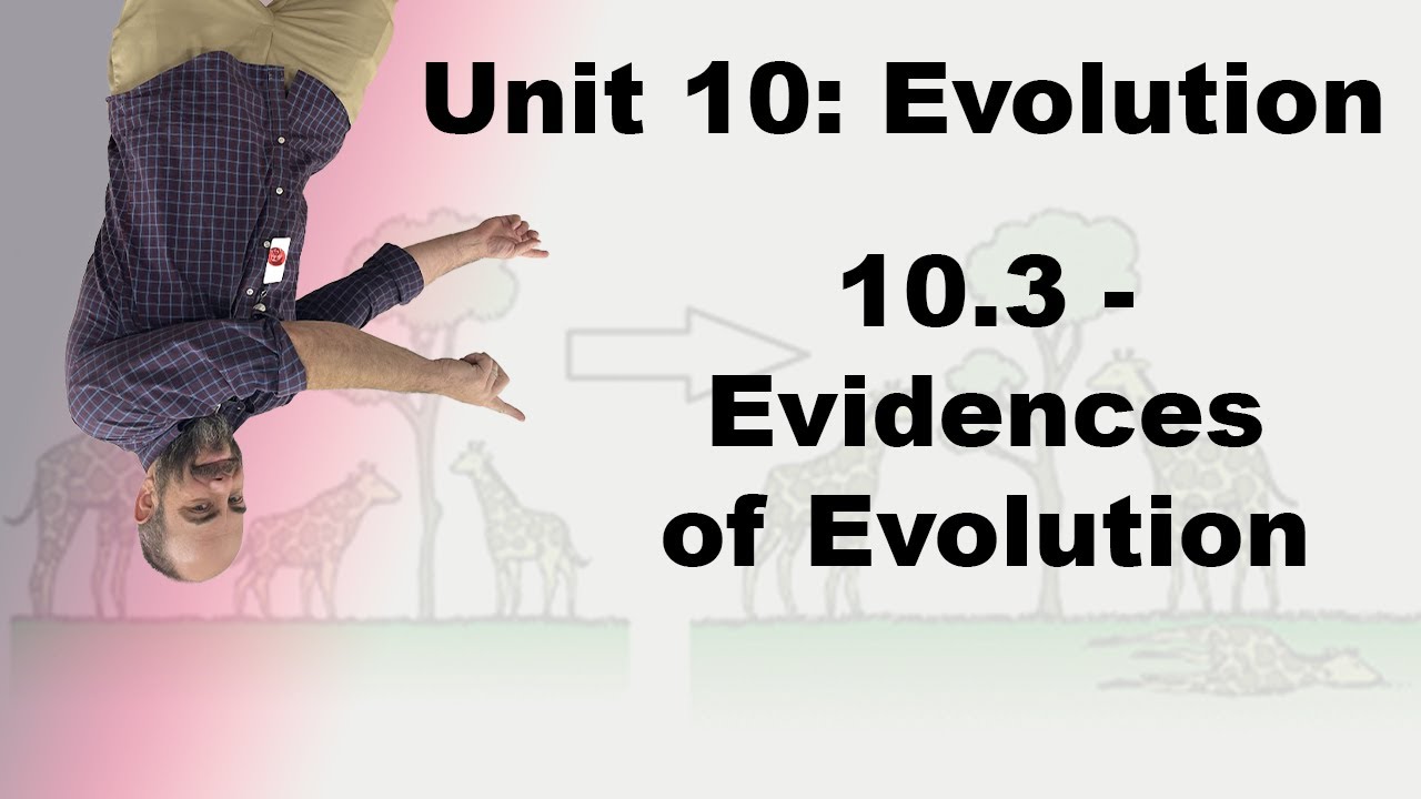 Honors Biology Unit 10 - 10.3 - Evidences of Evolution - YouTube