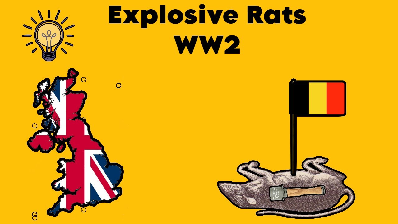 One Of The Strangest Weapons Of World War II : Explosive Rats - YouTube