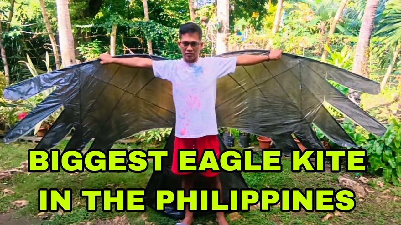 BIGGEST EAGLE KITE IN THE PHILIPPINES,@yankitetv @kalitarvlog5622 ...