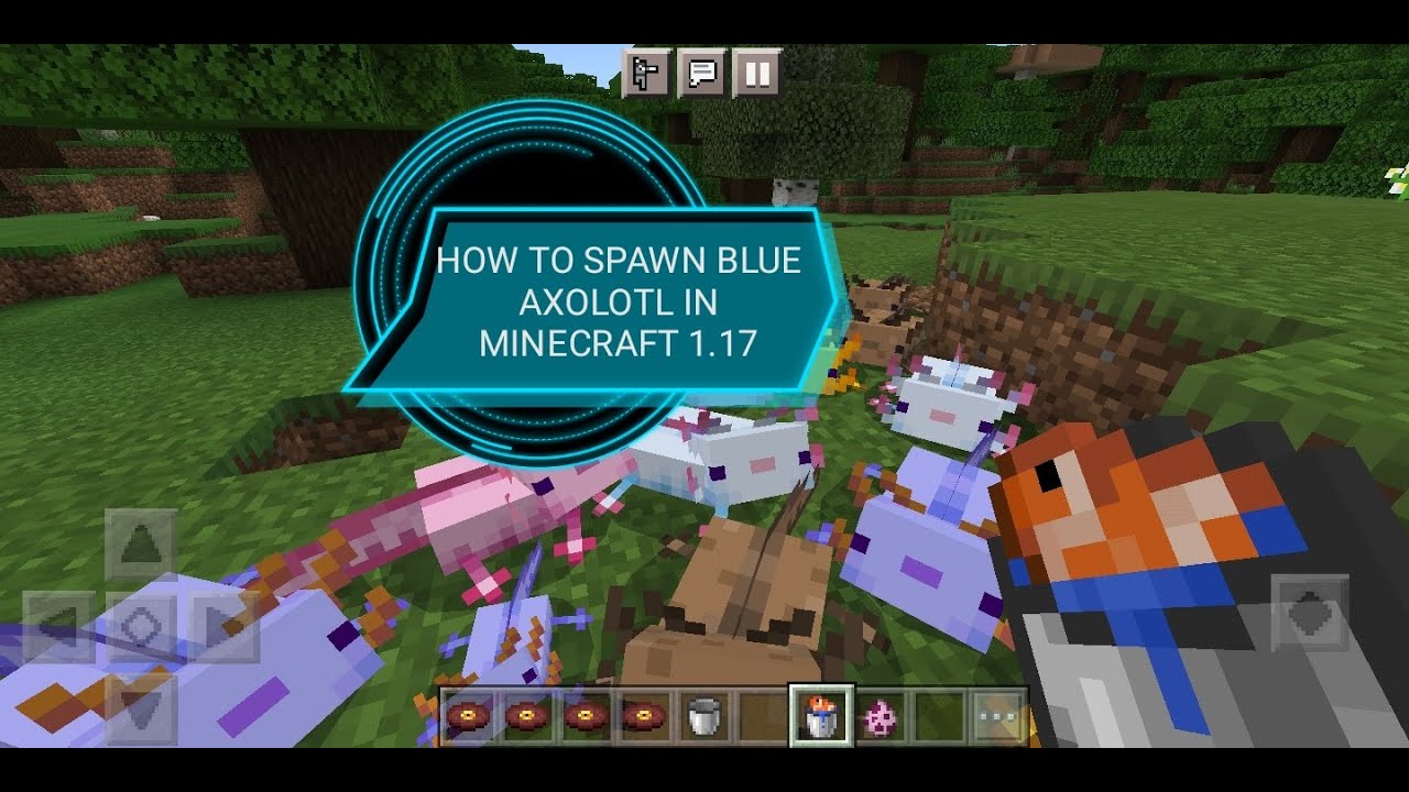 HOW TO SPAWN THE RAREST BLUE AXOLOTL IN MINECRAFT 1.17 - YouTube
