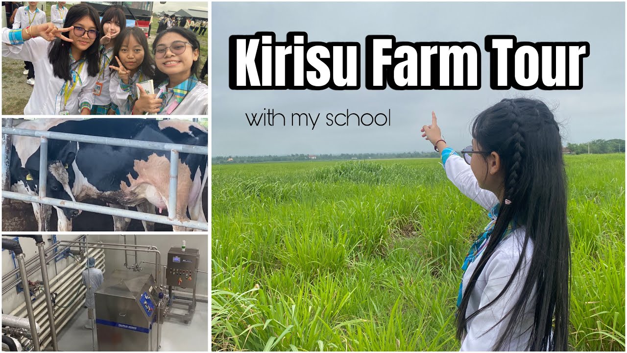 សិក្សាអំពីកសិដ្ឋានផលិតទឹកដោះគោគីរីសួគ៍ Kirisu Farm - YouTube