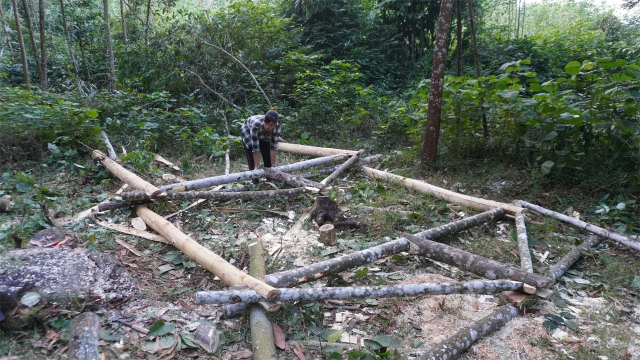 Green Forest Farm, How To Use body strength to build a house columns ...