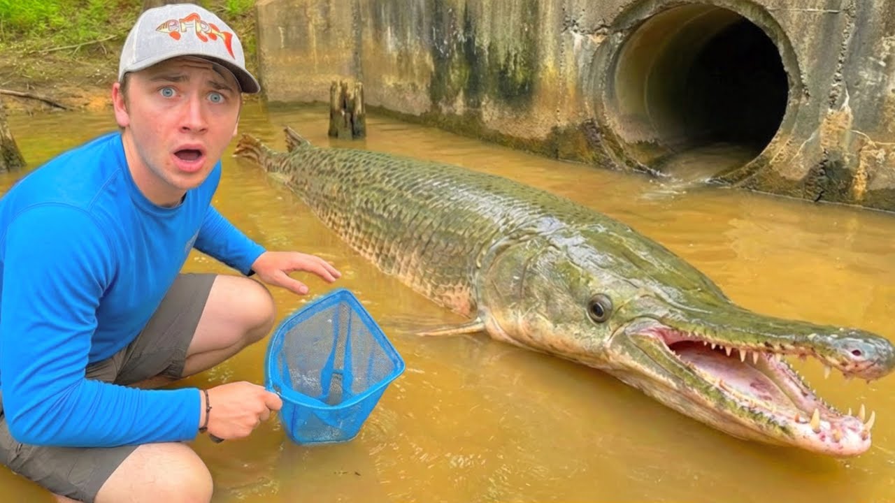 CATCHING INVASIVE FISH in FLOODED SWAMP! - YouTube