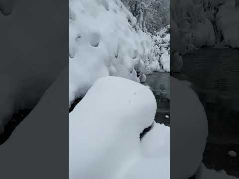 #rize #çayeli #karadenizmüzik#gökhanbirben #karlı#dağlar