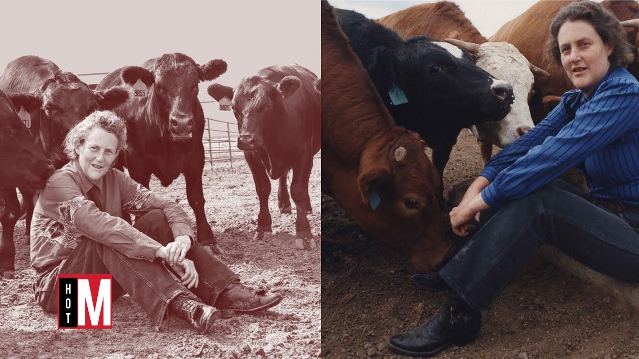 She is inlove with a cow, social media users attacks laugh out loud ...