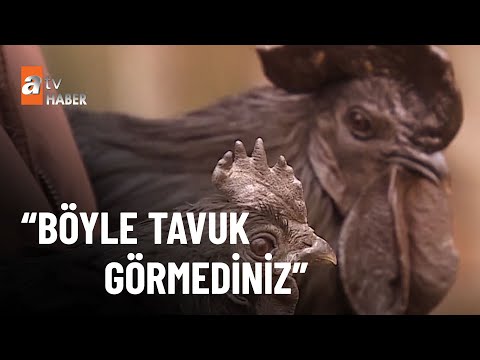 “Kanı bile siyah akıyor” - atv Ana Haber 10 Ocak 2023