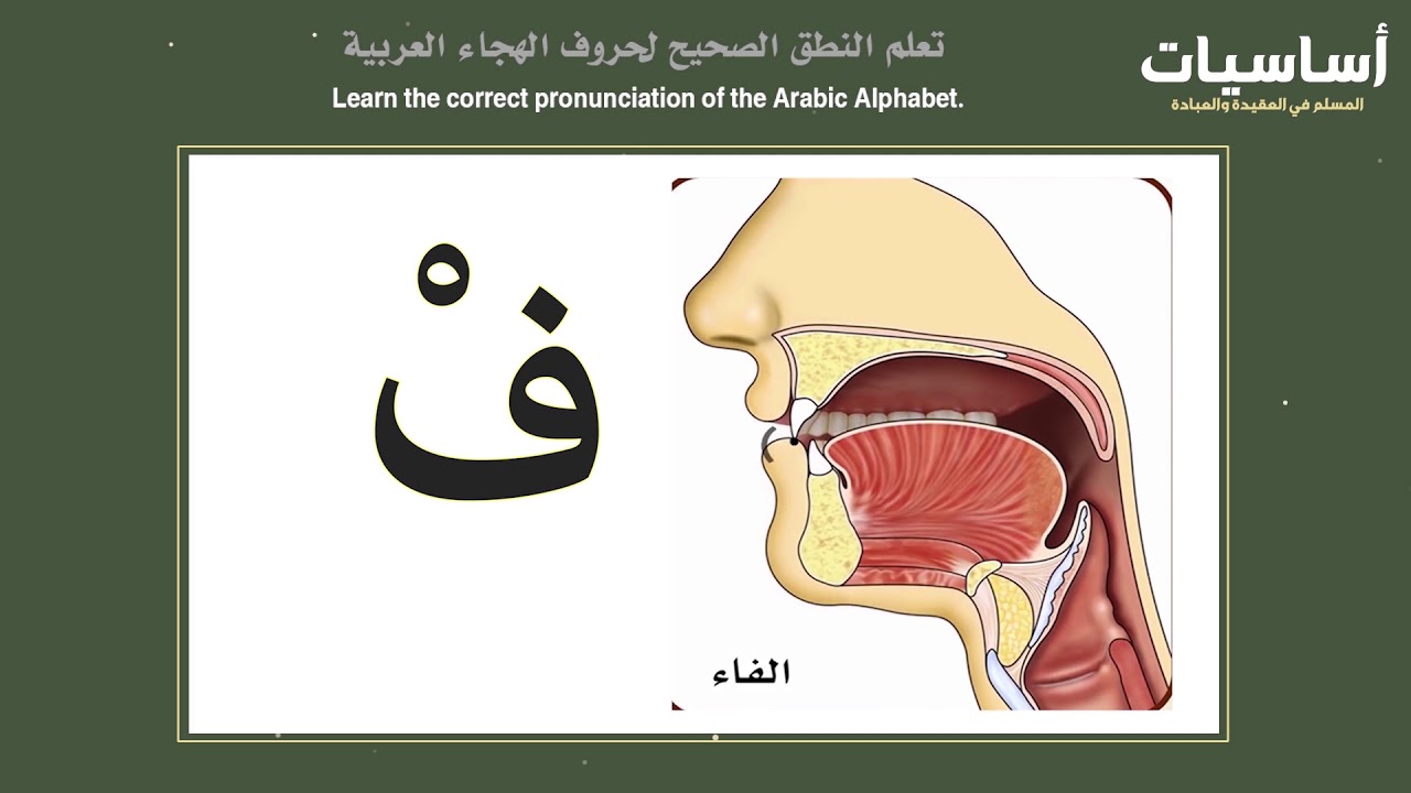 نطق حرف الفاء Pronunciation of Theف ( F ) Letter - YouTube