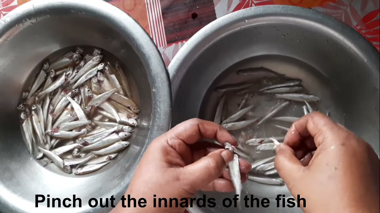 How to Clean Small Fish with Hand | छोटी मछली कैसे साफ करे - YouTube