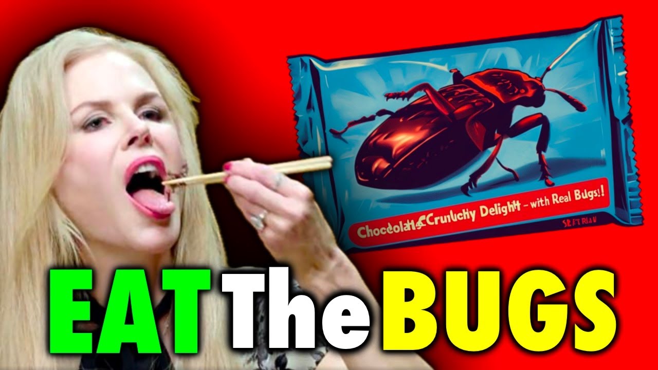 Eat The Bugs! Bug Protein Bars Handed Out At Davos - YouTube