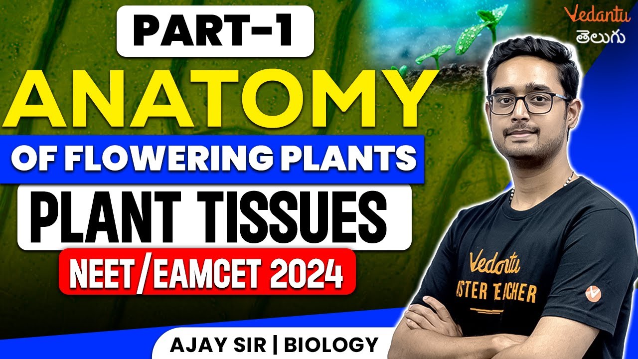 Anatomy of Flowering Plants| Part-1|Plant Tissues | NEET/EAMCET 2024 ...