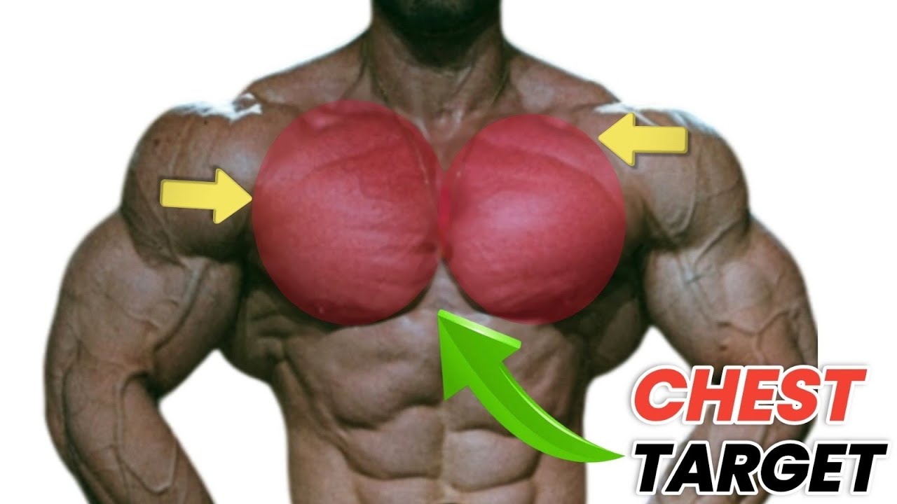 Best Chest Exercises Combination To Build Big Chest Muscle | Upper ...