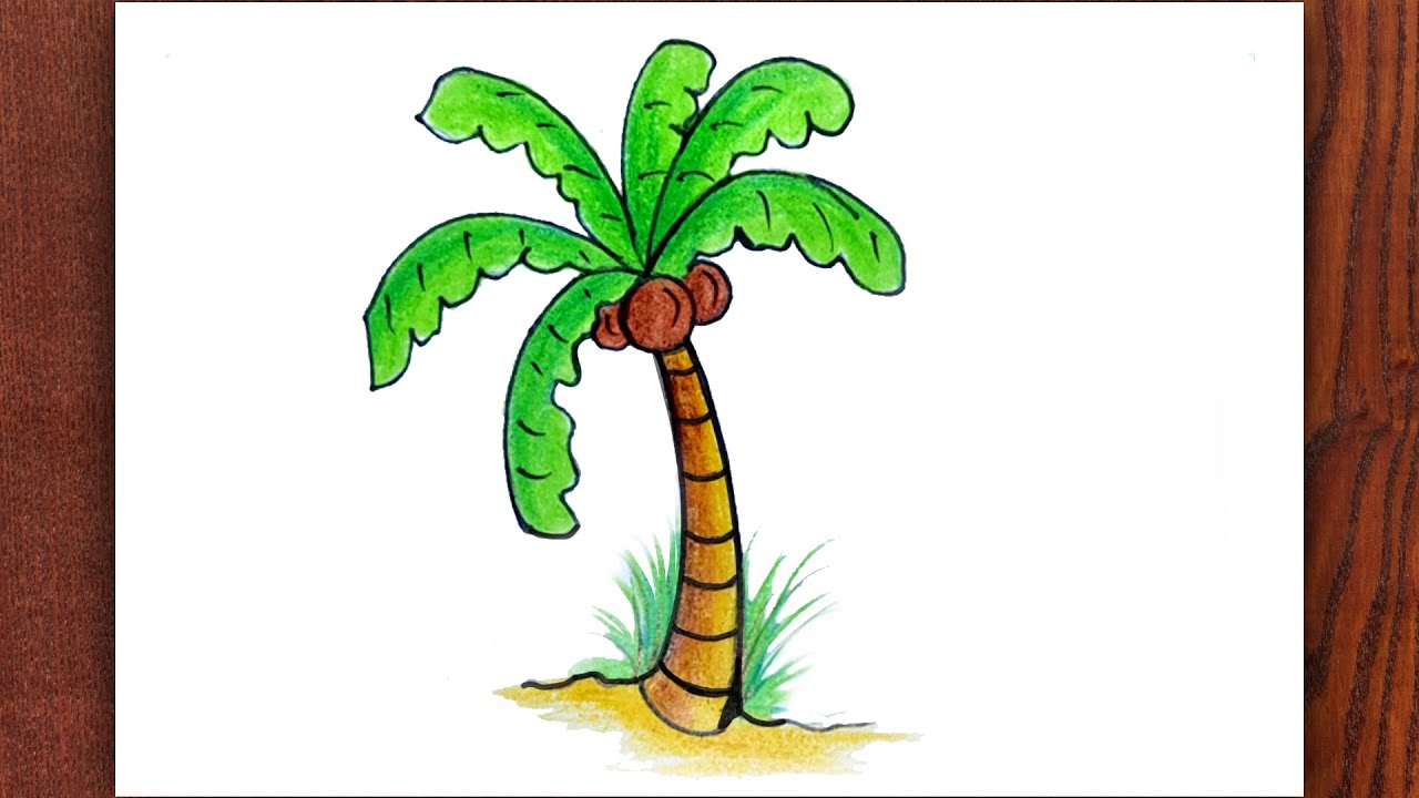 Coconat Tree Drawing🌴 ll Tree Drawing ll Narkel gas Drawing ll Coconat ...