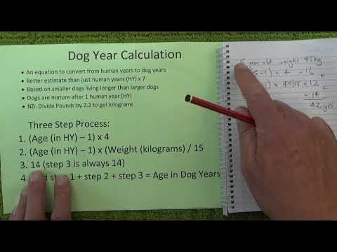 Dog Year Calculation - Updated Way to Convert a Dog's Age into Dog ...