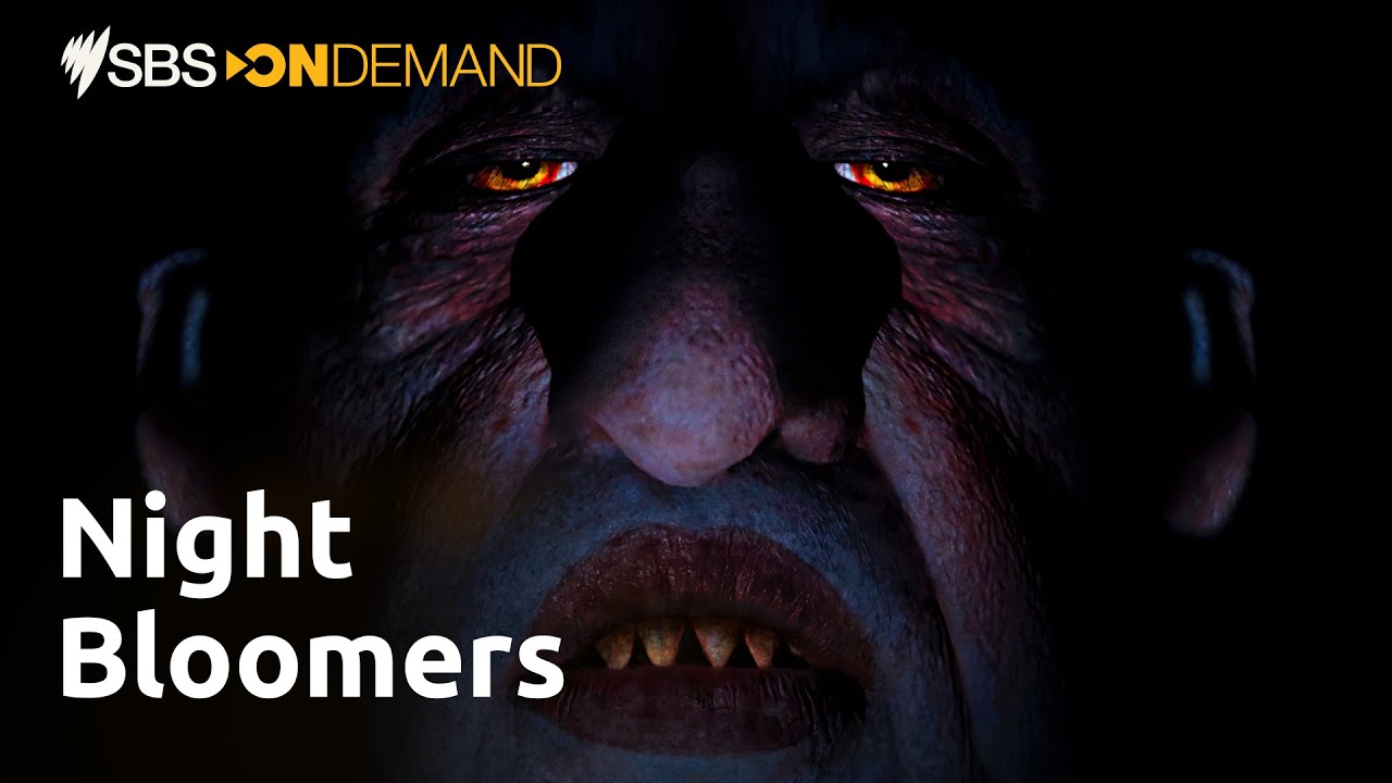 Night Bloomers | Trailer | Premieres Saturday 28 October on SBS On ...