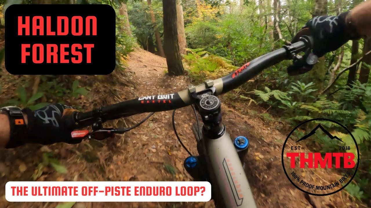 Is This The ULTIMATE Haldon Forest Off-Piste Enduro Loop? - YouTube