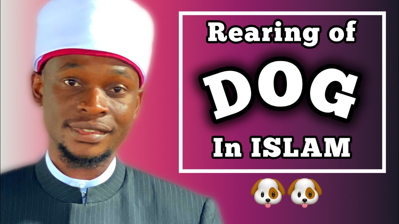 Rearing of Dogs in Islam 🐶 - YouTube