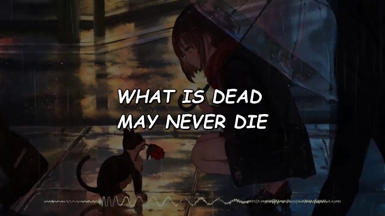 Is It True Unofficial Lyrics by Peachy Pavement - YouTube