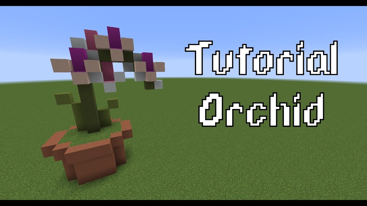 Tutorial: Orchid - YouTube
