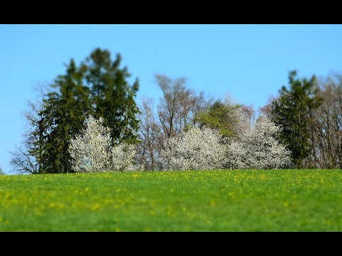 En büyük Günahlar Nelerdir, İnsanlar Neden Günah İşler