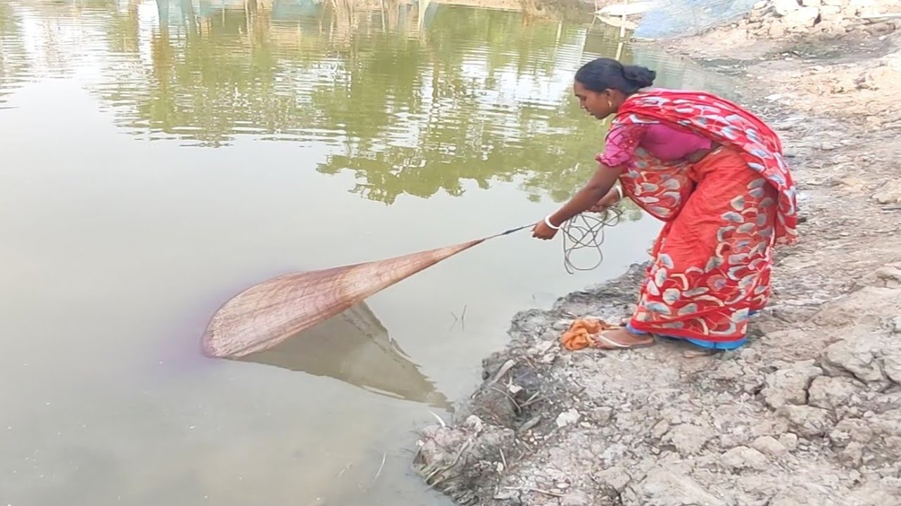 Amazing Village Women Net Fishing | Suroma Hand Cast Netting | Catch ...