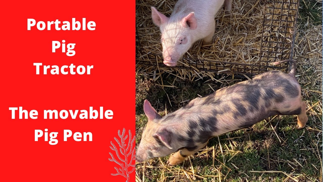 Portable Pig Tractors 1 - YouTube