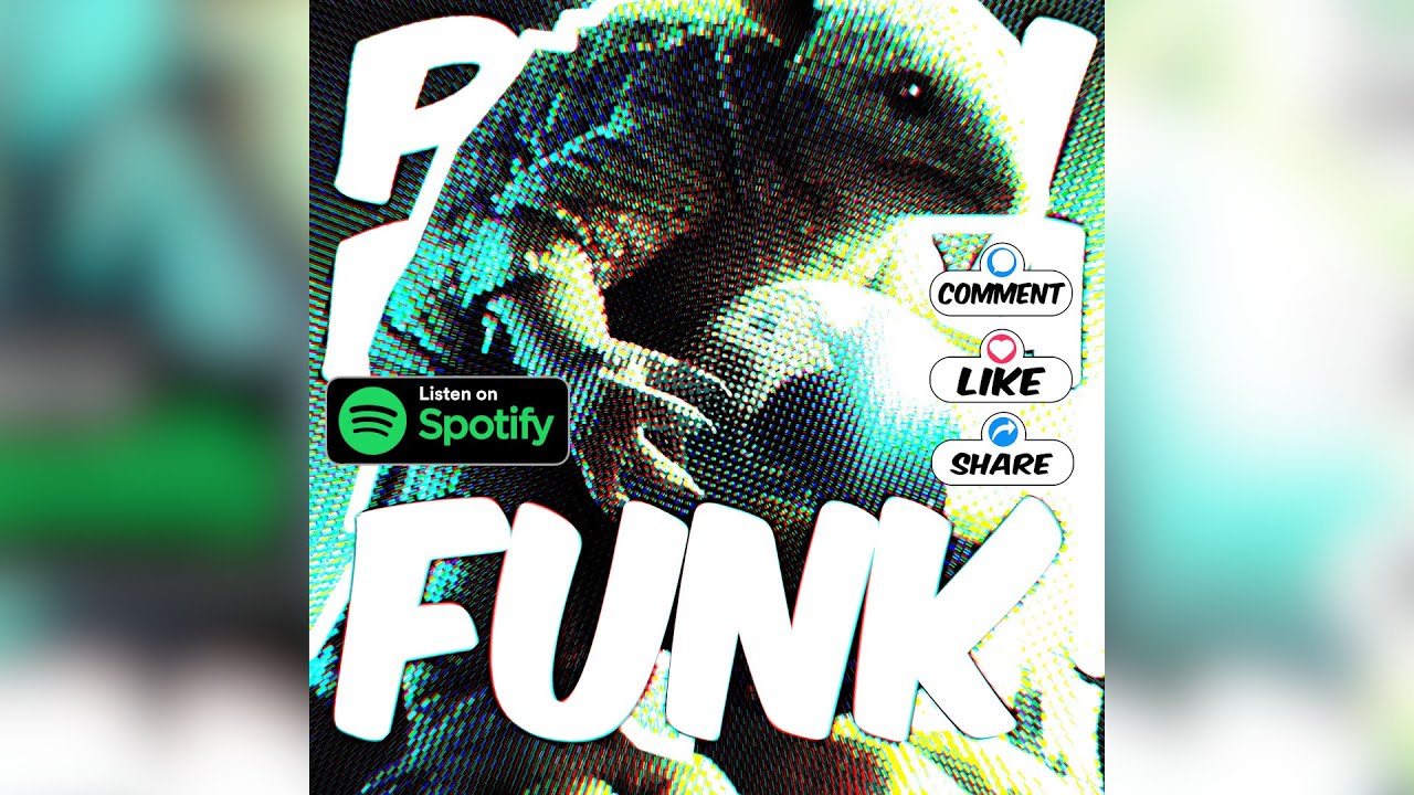 PIPPI POPPA FUNK - YouTube