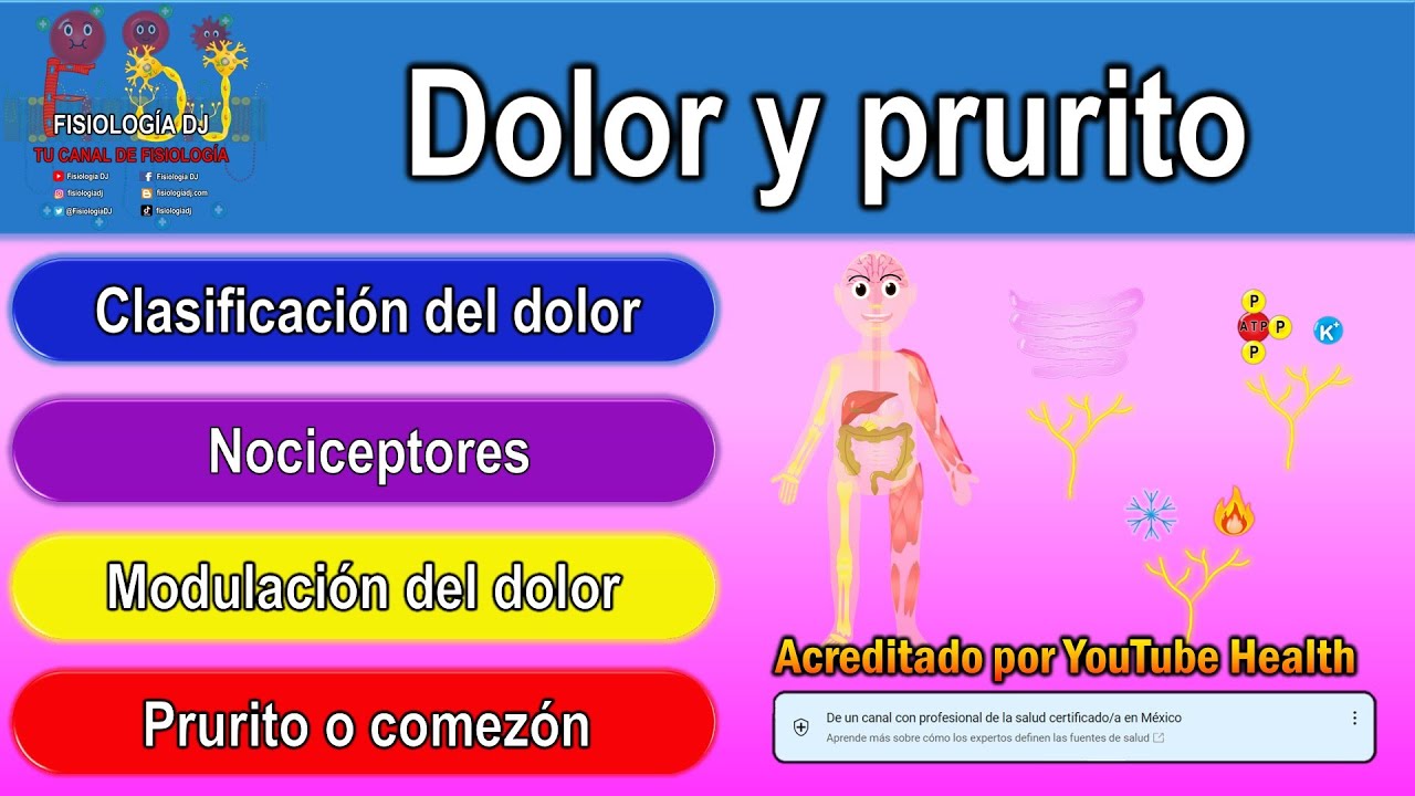 Dolor | Que es el dolor | Dolor explicación | Como se clasifica el ...