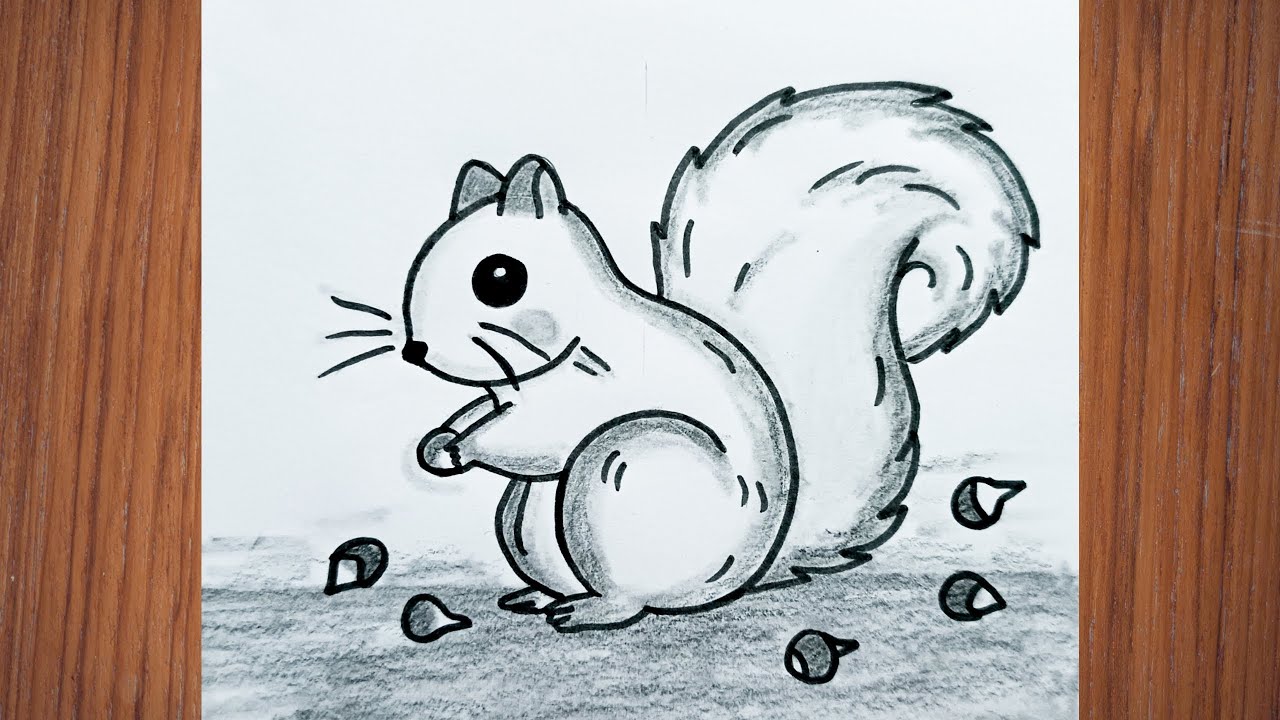 How to draw squirrel drawing easy way to step by step #Gilhari drawing ...