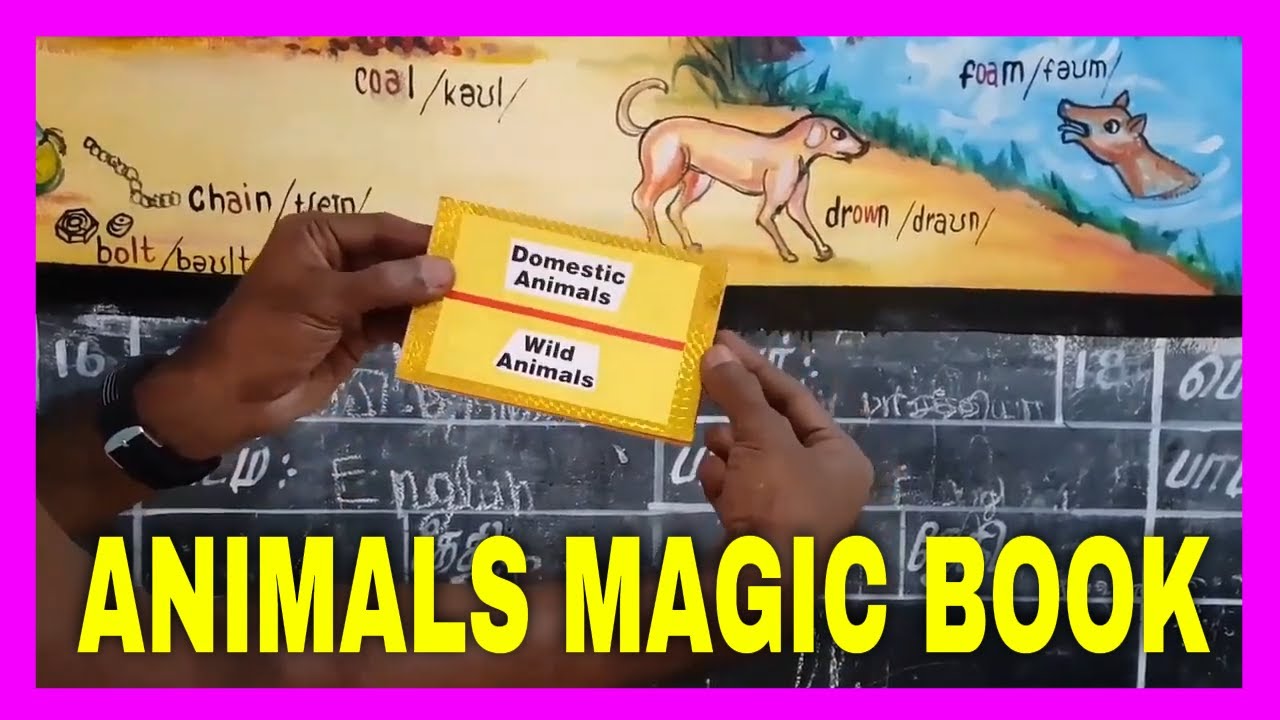 DIY - Magic book to teach domestic and wild animals - YouTube