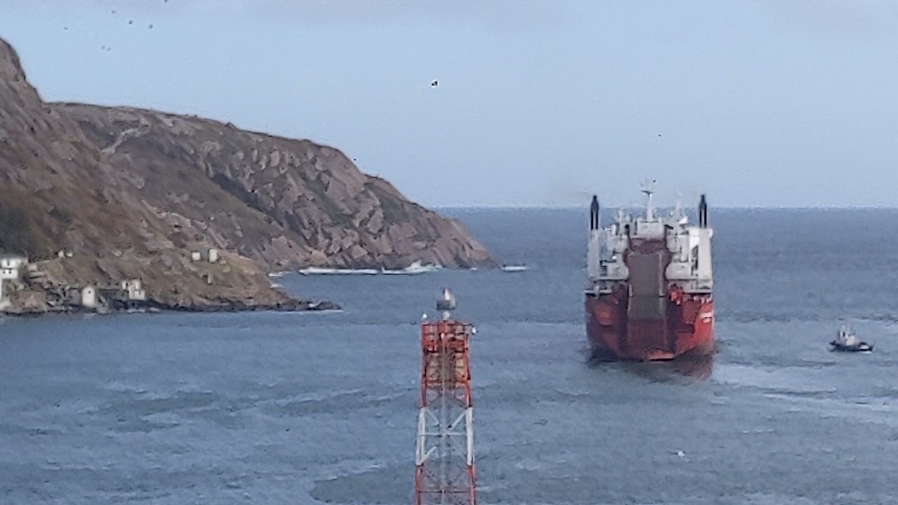 Oceanex container ship and Harbour or Pilot leaving the Narrows St.John ...