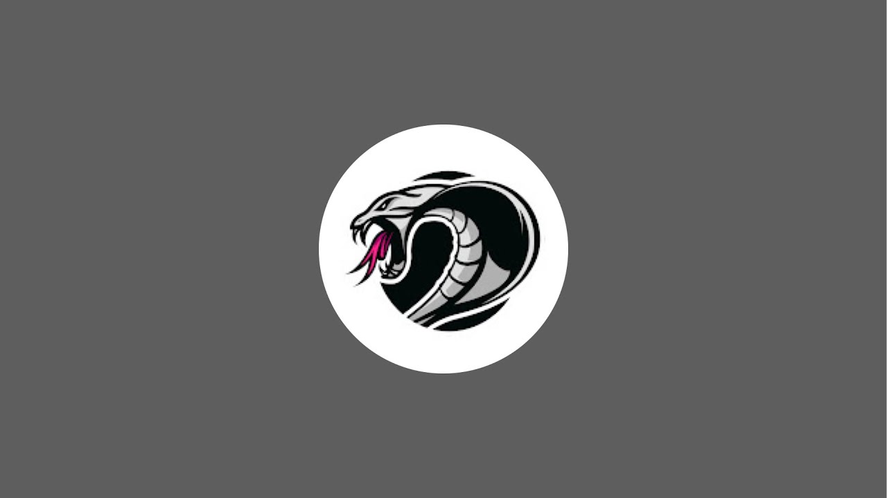 WNBL D1 - Cobham Cobras Vs. COLA - YouTube