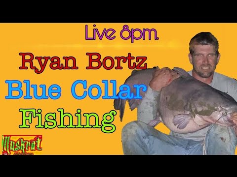 Chat with the Muskrat #24 Ryan Bortz - YouTube
