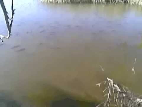 barragem do facho - YouTube