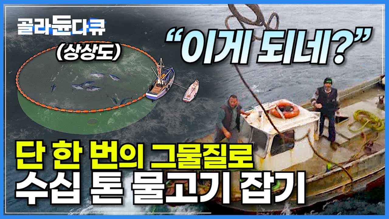 휘몰아치는 물고기 떼를 1km 거대 그물로 순식간에 싹 끌어올리는 놀라운 현대식 어업 기술│검푸른 바다 튀르키예 흑해 어부들의