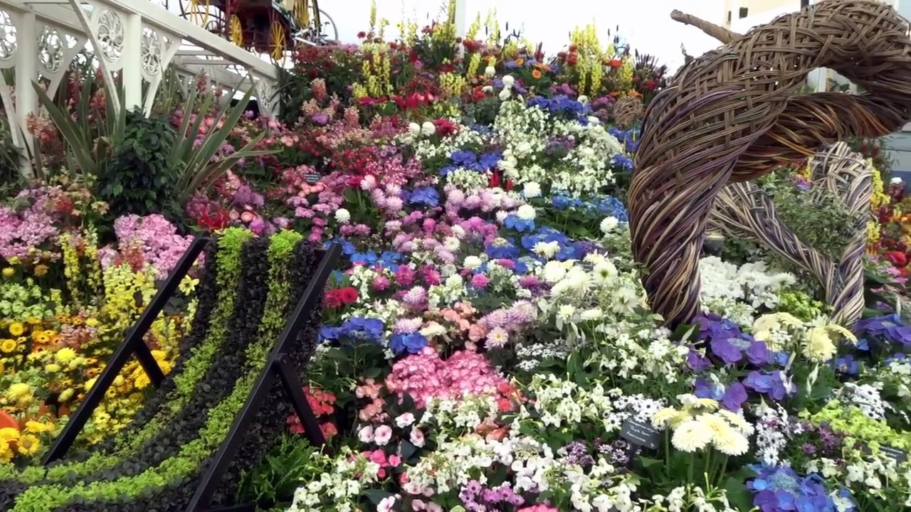 Study Abroad: visiting Chelsea Flower Show, London - YouTube