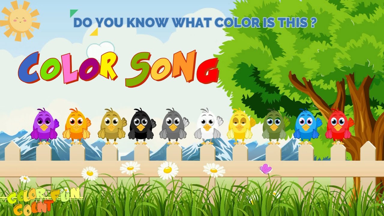 Color Song and colorful cute Birds | COLORCOUNTFUN - YouTube