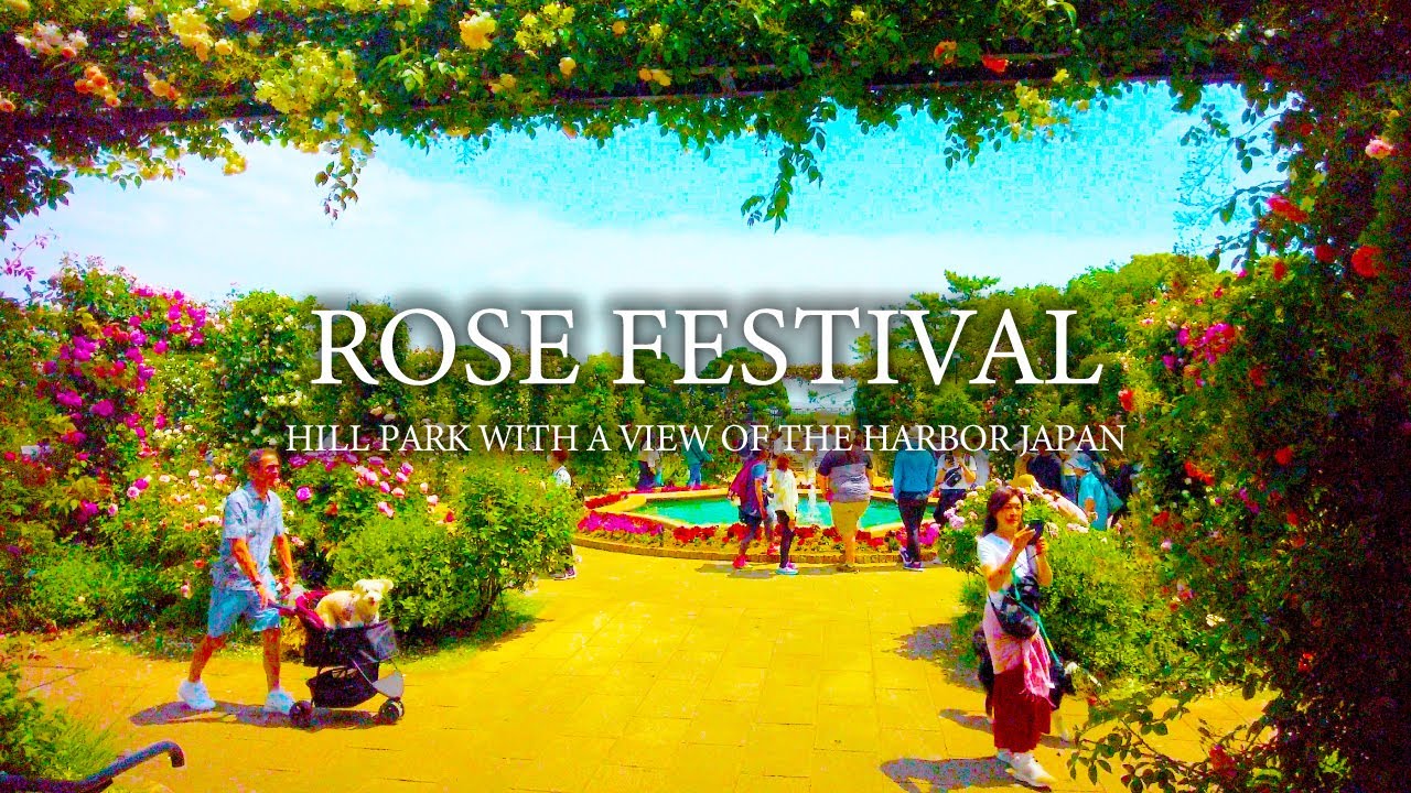ROSE FESTIVAL 2023 YOKOHAMA ROSE WEEK at Hill park with a view of the ...