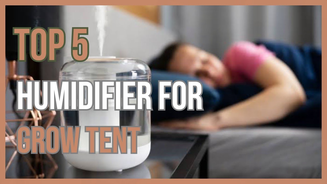 Best Humidifier For Grow Tent That's Revolutionizing Grow Tents ...