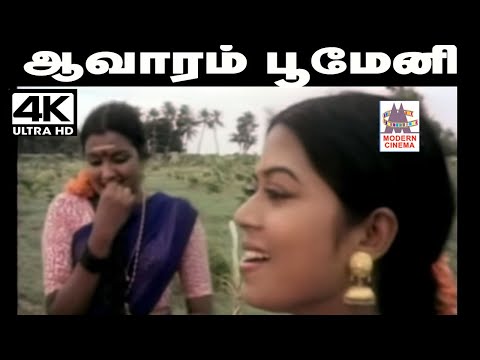 avaram poo meni Song 4K S. ஜானகி பாடிய பாடல் ஆவாரம் பூமேனி