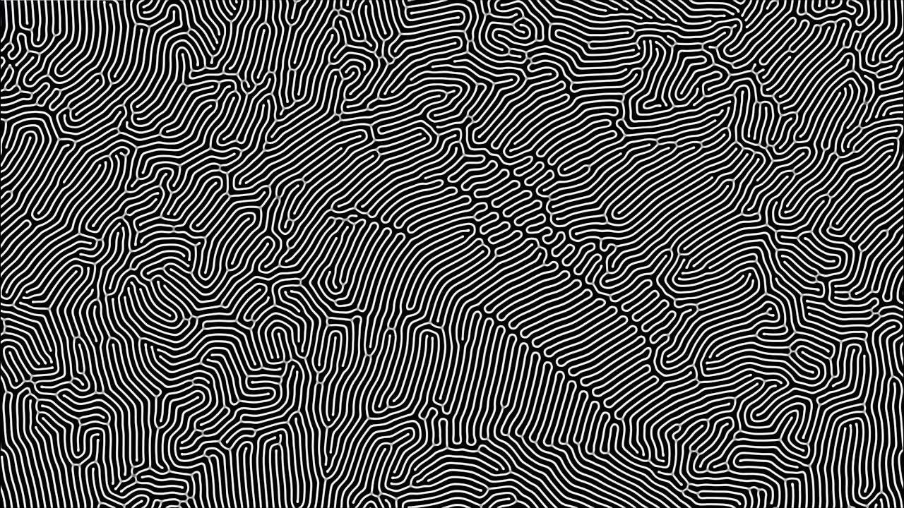 Reaction Diffusion Simulation in 4k - YouTube