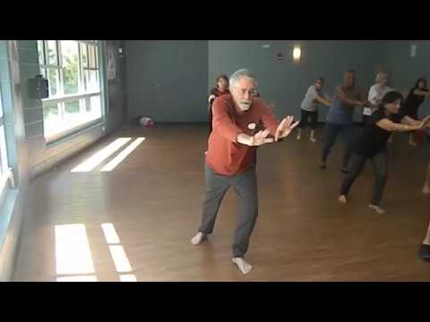 Yang style Tai Chi, Long form - YouTube