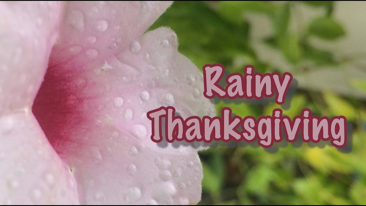 Rainy Thanksgiving - YouTube