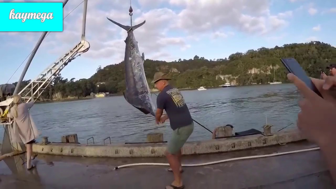 How to Catch Big fishes/ Secret of catch Big fish in the sea - YouTube