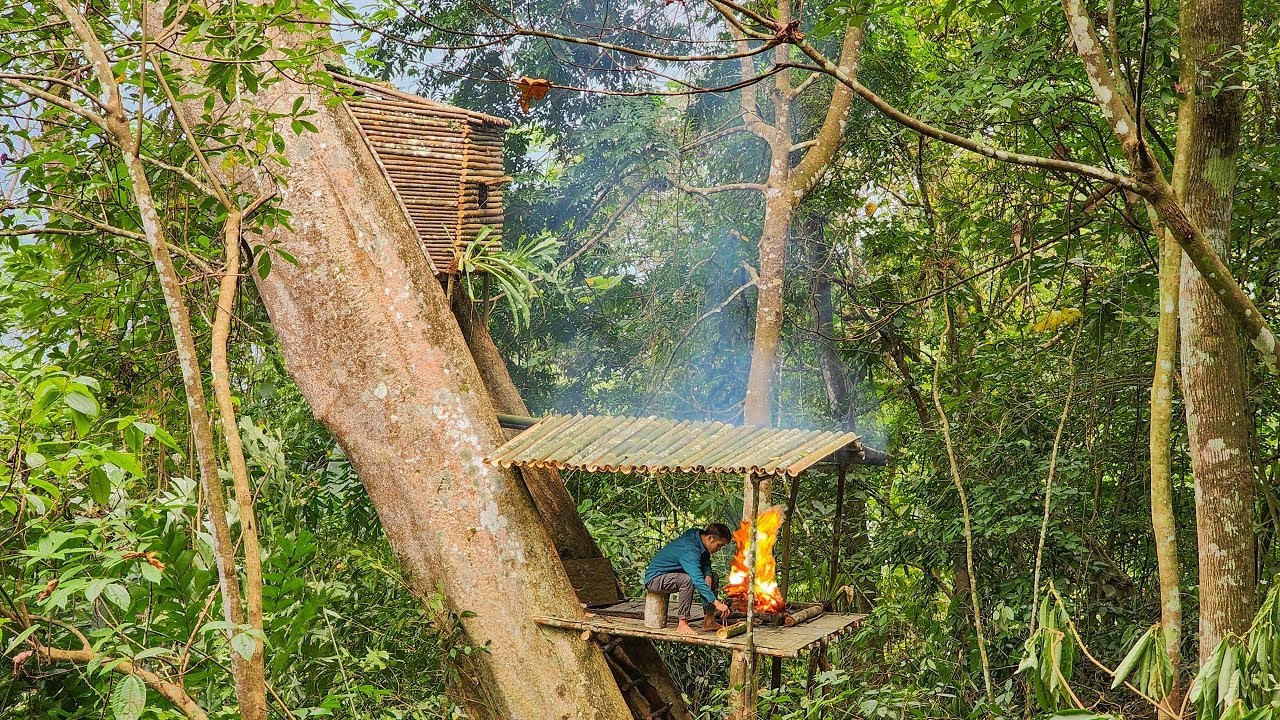 Build a giant tree bushcraft shelter to survive - YouTube