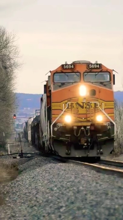 BNSF 5694 leads H-DENAMS1-08A with all H2 C44-9W and one H2 AC4400CW leader #shorts #bnsf #train ...