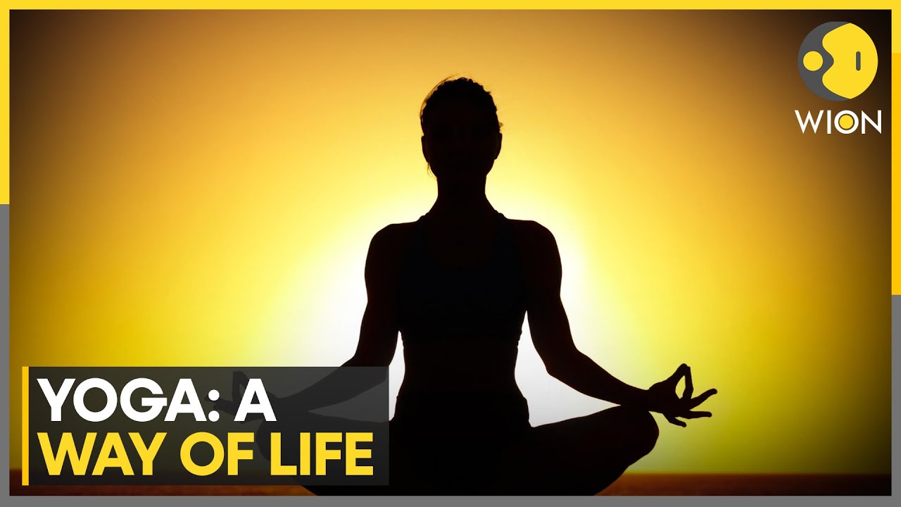 International Yoga Day 2024: 'Sunrise Yoga' at Rishikesh: Easy Yoga ...