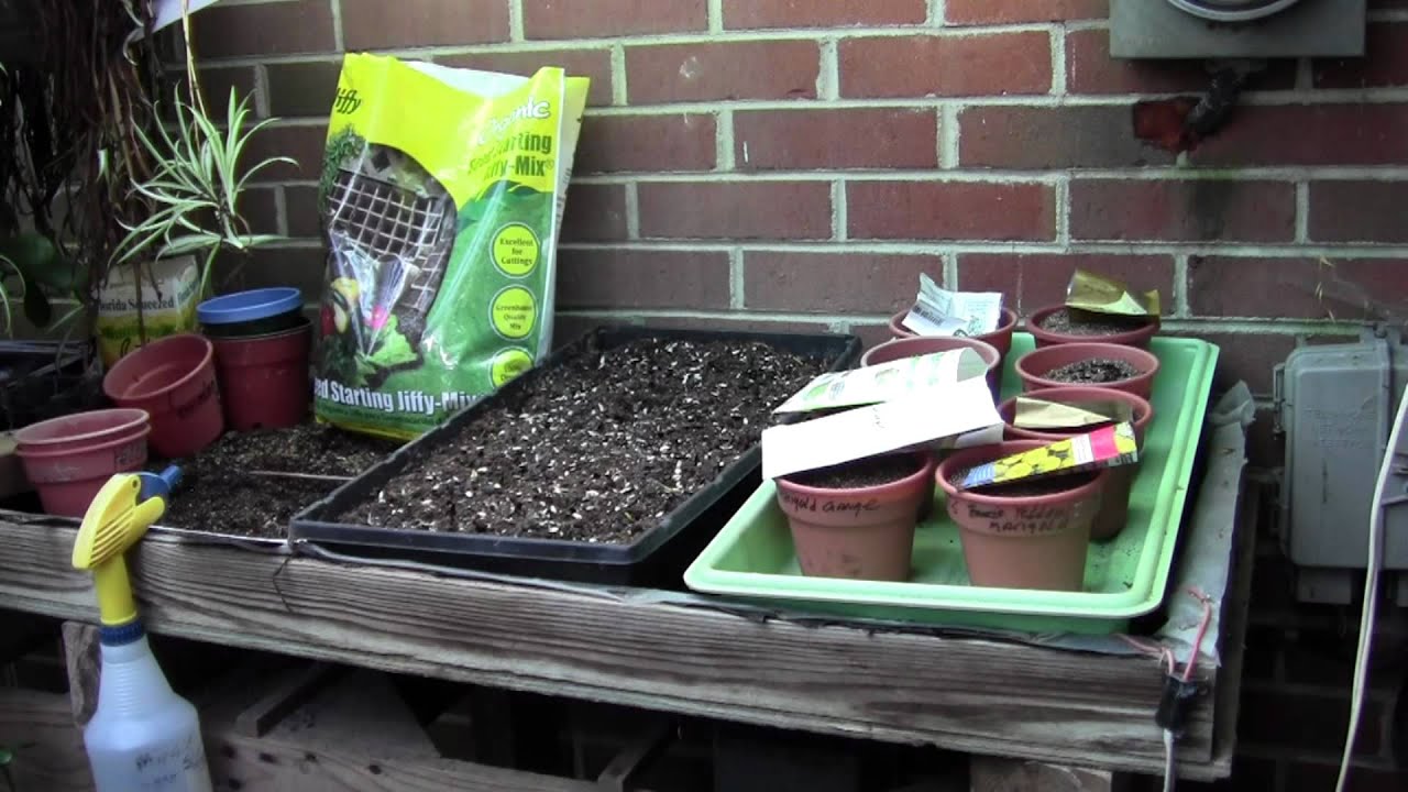 Seed Planting Video 1 of 3 - YouTube