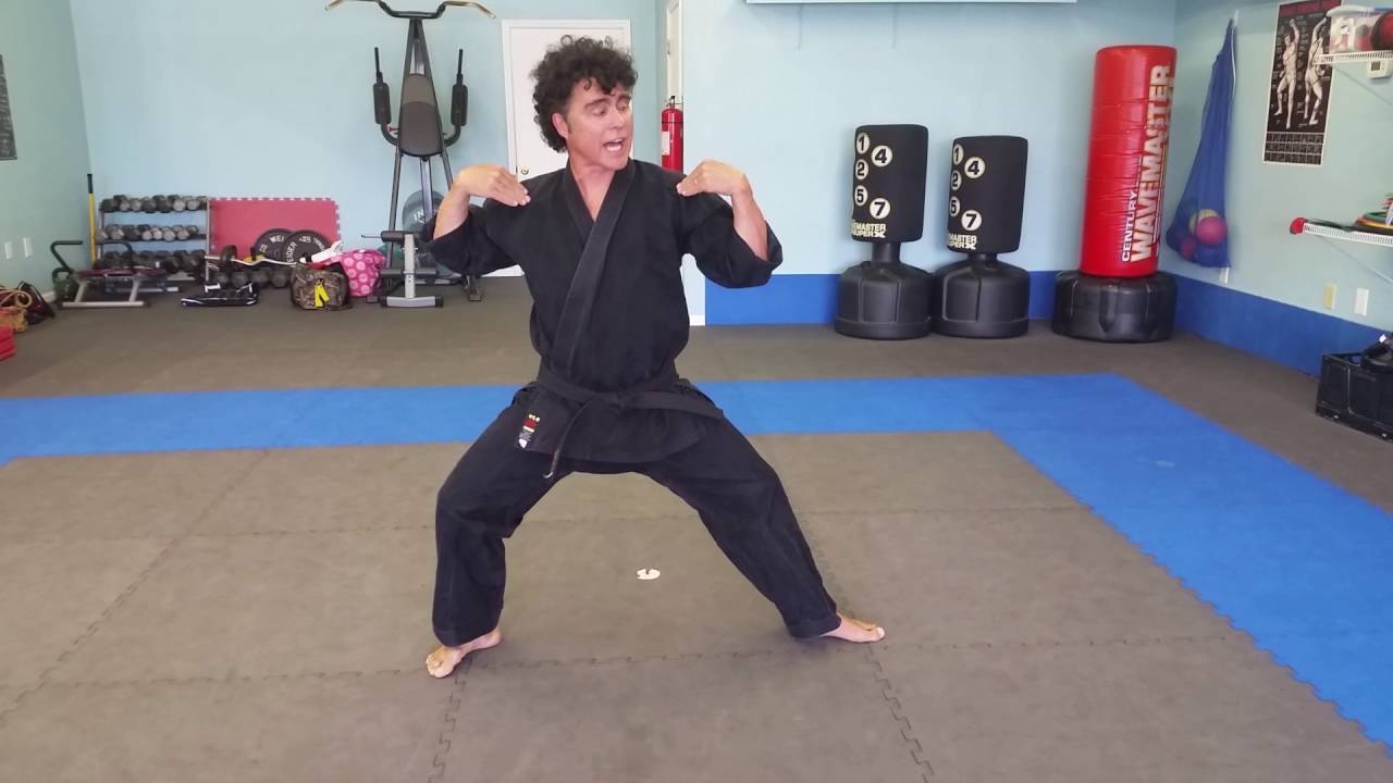 Beginner Curriculum : Back Stance - YouTube