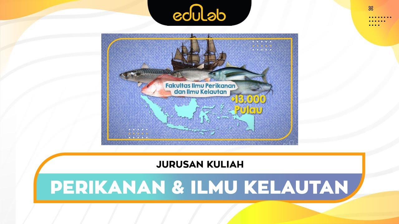 Jurusan Kuliah : Perikanan dan Ilmu Kelautan - YouTube
