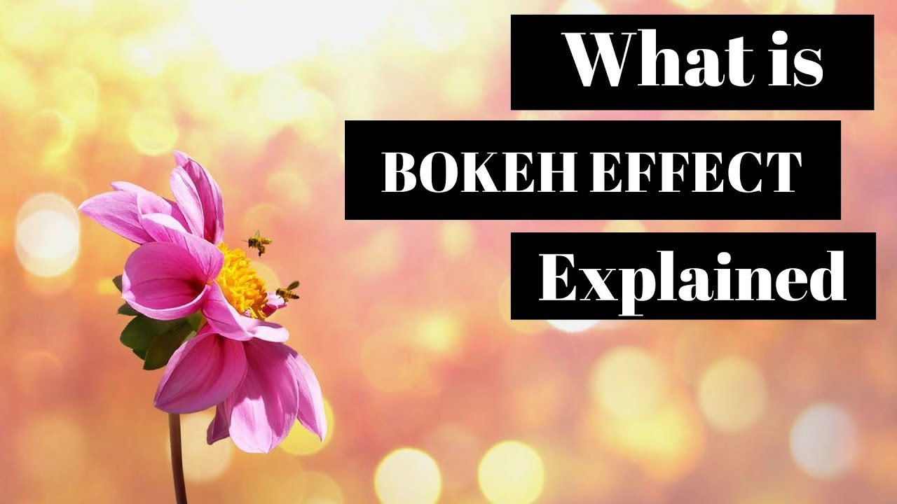 What is BOKEH Effect | How to Create Bokeh Effect - YouTube